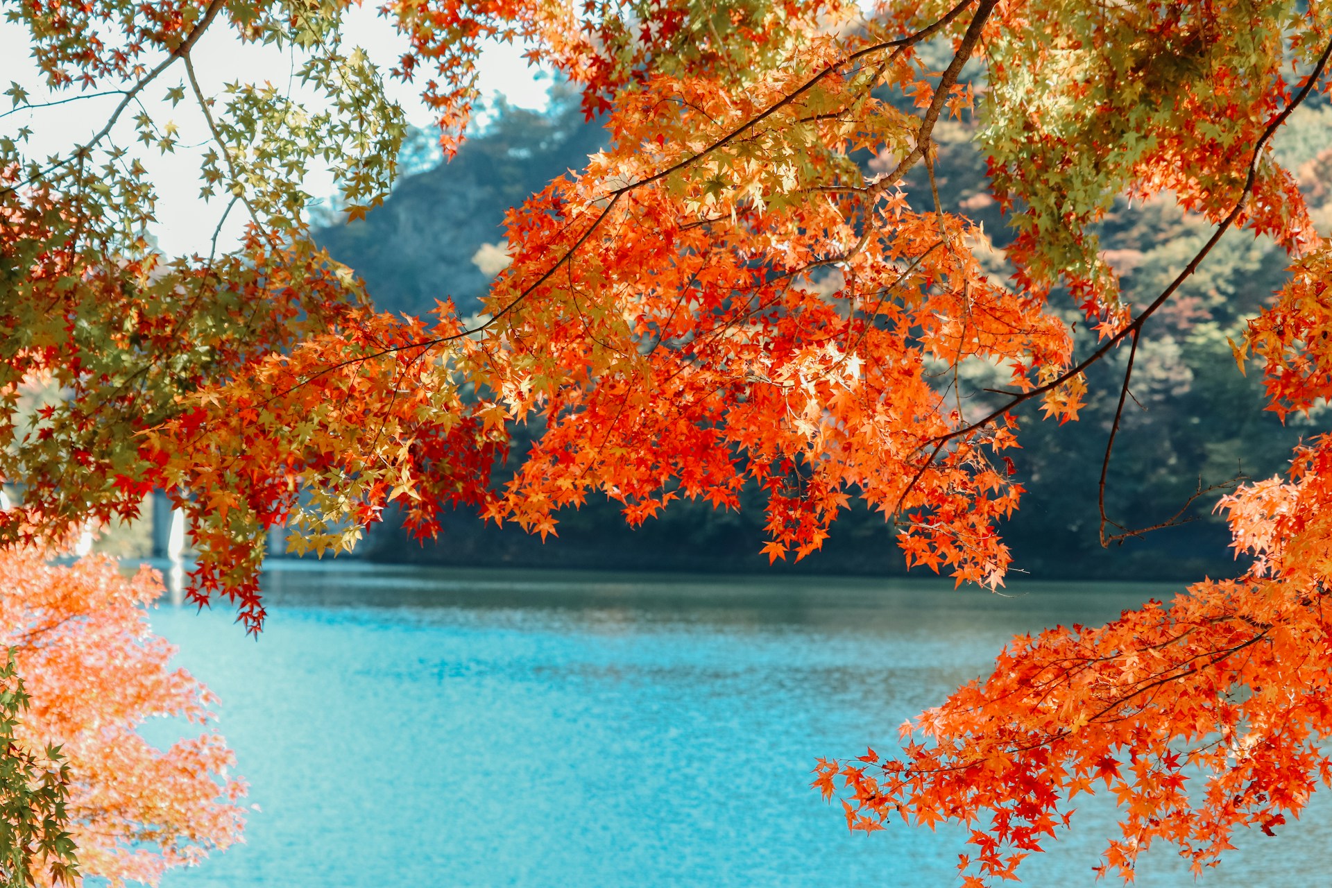 Japan Rail Pass - Official JR Pass | GetJRPass